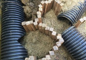 Badger survey and mitigation - Applied Ecology